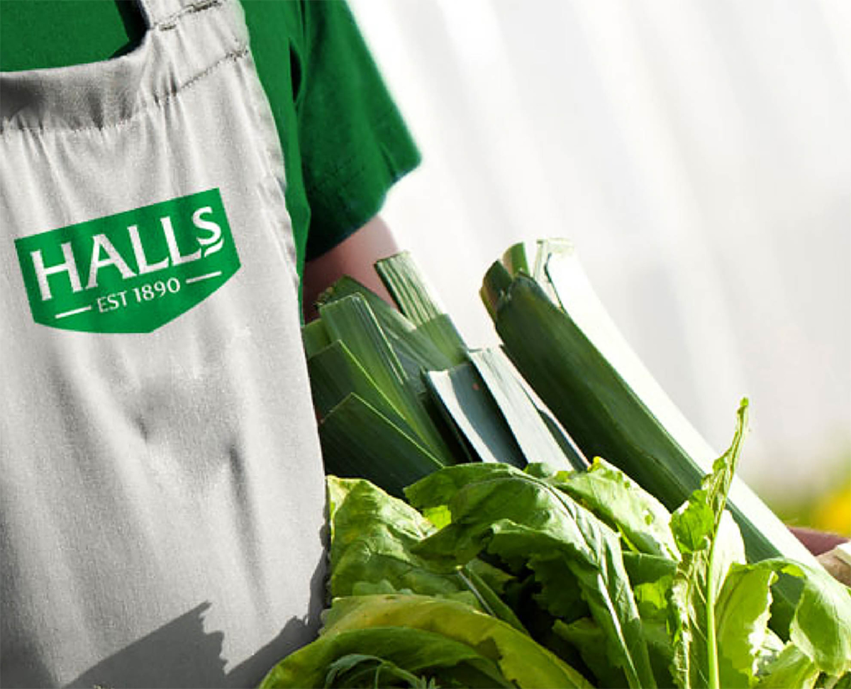 Halls - Brand and Visual Language - IDIDTHAT.co