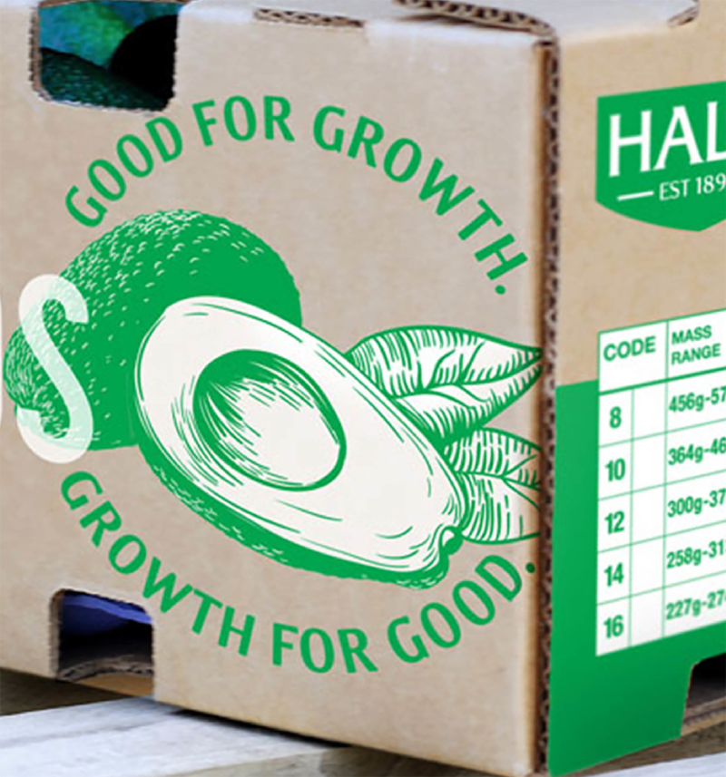 Halls - Brand and Visual Language - IDIDTHAT.co